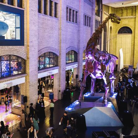 ROM After Dark: Love Struck - Toronto Arts & Culture Group | InterNations